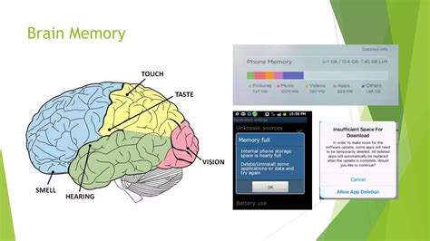 Multitasking How Brain Works On Different Tasks Pptx