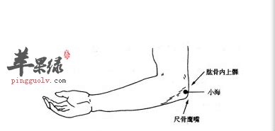 小海穴位位置图 小海穴的功效与作用 按摩手法 苹果绿