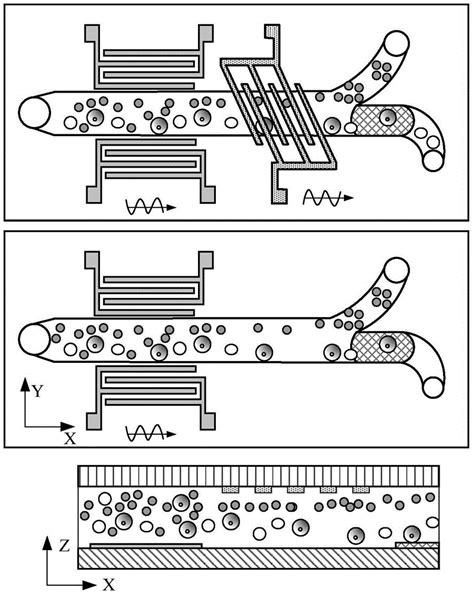 Circulating Tumor Cell Separation Device Adopting Combined Field Flow