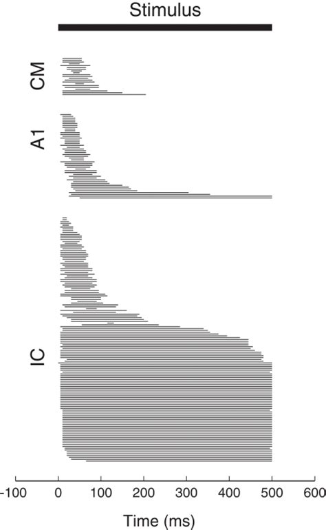 Stimulus Period Spike Counting Windows For The Neurons In The Present