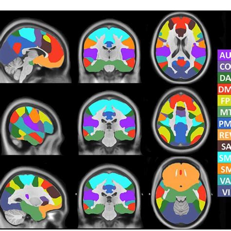 Olumetric Segmentation Of Resting State Networks Based On Maximum