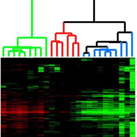 Two Way Unsupervised Hierarchical Clustering Of Genes Rows And