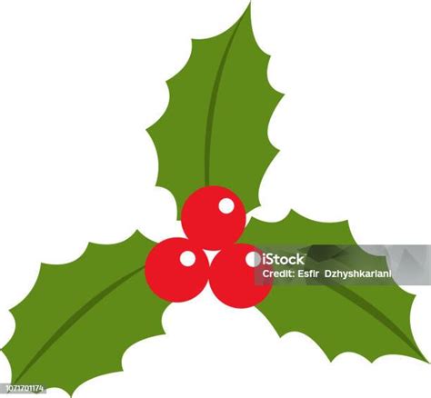 홀리 베리 잎 흰색 절연는 크리스마스 아이콘 평면 벡터 일러스트 레이 션 크리스마스에 대한 스톡 벡터 아트 및 기타 이미지 크리스마스 호랑가시나무 12월 Istock