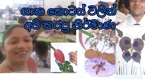 ශාක කොටස් යොදාගෙන කරපු නිර්මාණ 4 ශ්‍රේණිය පරිසරය ආශ්‍රිත ක්‍රියාකාරකම් Youtube
