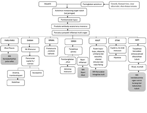 Pathway Sle Pdf