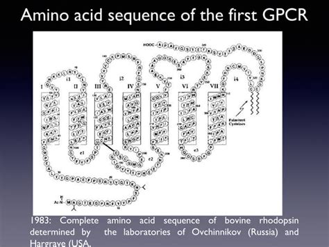 Gpcr Structures 061213 Ppt