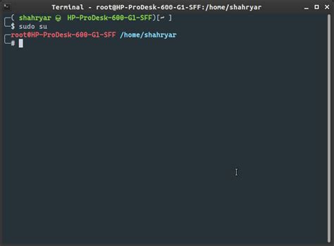 Github Shahryar Piroozbiraskullzsh Theme I Like The Bira Zsh Theme