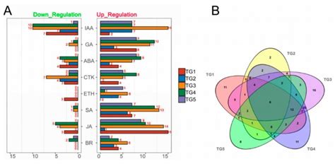 Transcriptome Profiling Analysis Reveals Co Regulation Of Hormone Pathways In Foxtail Millet