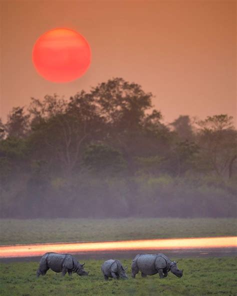 Varun Aditya Varun Aditya • Fotos E Vídeos Do Instagram