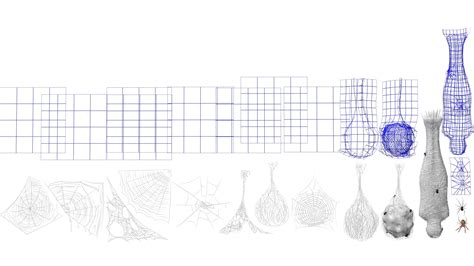 Cobweb Collection 3d Model Turbosquid 1749718