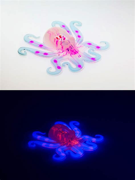 Harvard Researchers Create Octobot The Worlds First 3d Printed