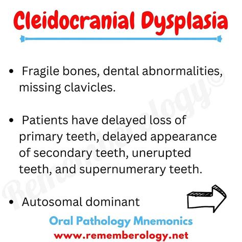 Cleidocranial Dysplasia Oral Pathology Mnemonics Rnbdemnemonics