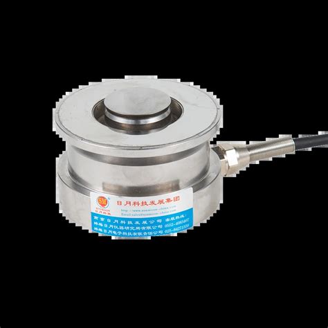 Cantilever Beam Sensor Riyue