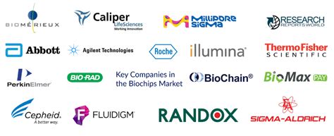 Biochips Driving The Future Of Healthcare Market Key Analysis