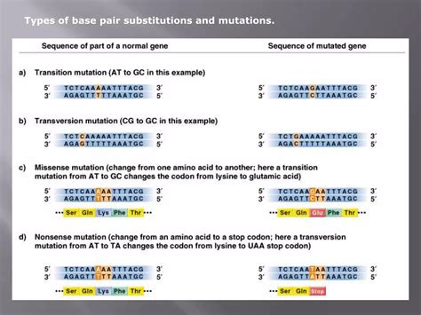Structural Chromosomal Abberations And Mutation Pptx