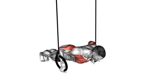 Suspended Push Up Ultimate Guide And Tips