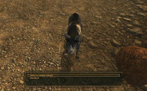 New Companion Concept For Sexout Sexout LoversLab