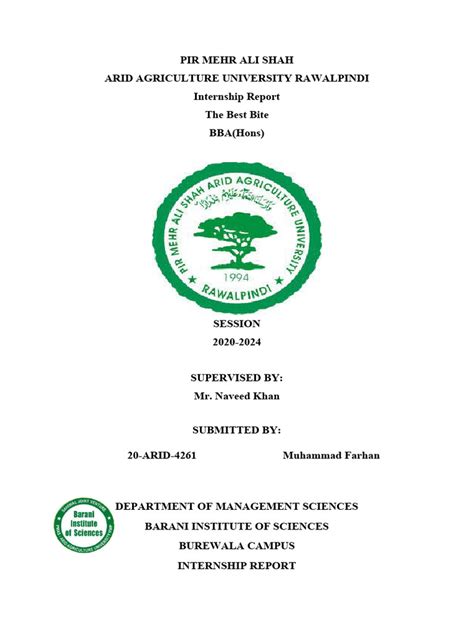 Farhan Internship Pdf Hamburgers Foods