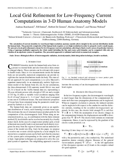 Pdf Local Grid Refinement For Low Frequency Current Computations In 3