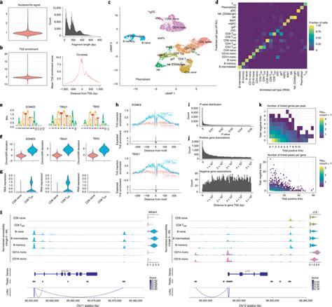 Integrative Single Cell Analysis Of Gene Expression And Dna