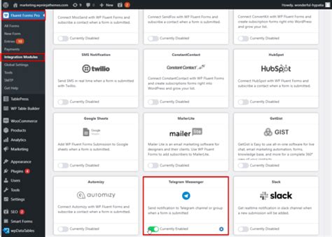 Telegram Integration With Wordpress Fluent Forms