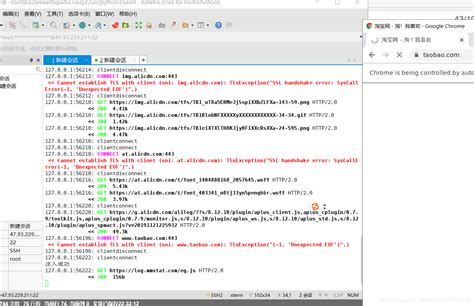 python通过mitmproxy（中间人攻击）使selenium绕过屏蔽js文件检测 mitmproxt过滤js请求 csdn博客