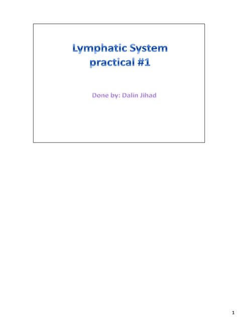 Histo Lab Pdf Lymph Node Lymphatic System