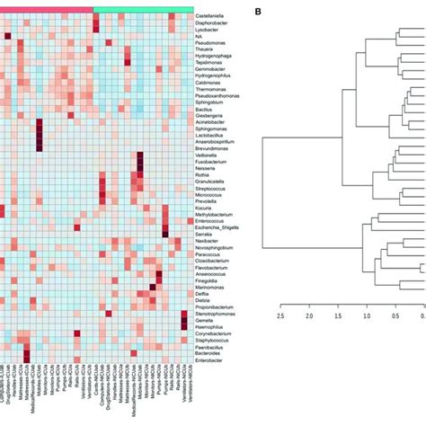 Clustering Analysis Of The Icu And Nicu A Heatmap And