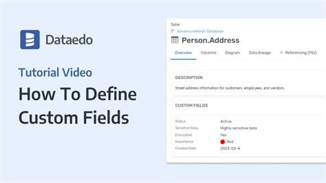 Dataedo Tutorial How To Define Custom Fields Youtube