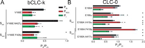 A Glutamate Side Chain At The Gluex Position Modulates The Role Of Scen