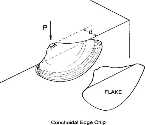 Effect Of Calcium Hydroxide On The Fracture Resistance Of Dentin Pmc