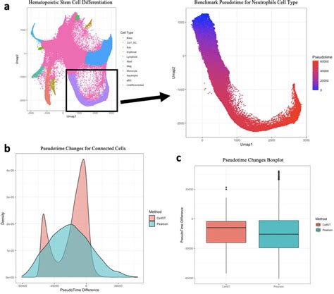 Constructing Individual Cell Lineages With Mouse Hematopoietic System Download Scientific