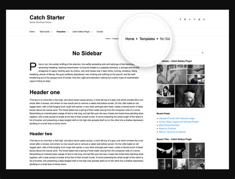 lightweight responsive breadcrumbs plugin catch breadcrumb wp missing