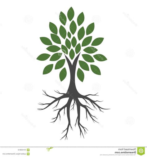Tree Roots Icon At Vectorified Com Collection Of Tree Roots Icon Free For Personal Use