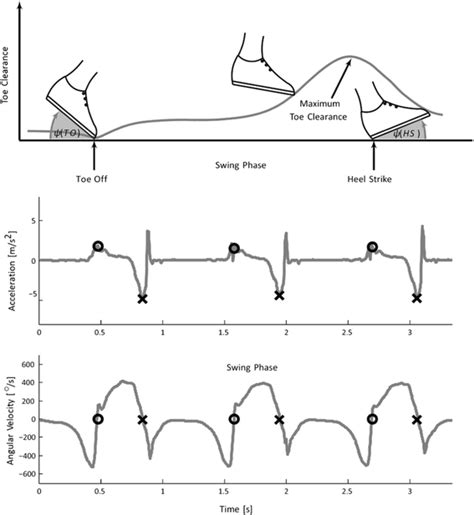 Inertial Sensor Based Gait Parameter Extraction Paradigm The Upper Download Scientific Diagram