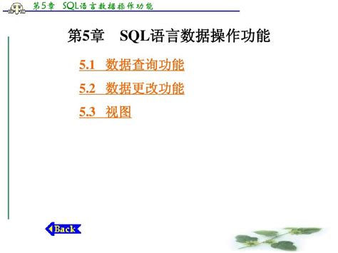第 章 SQL数据操作功能 word文档在线阅读与下载 无忧文档