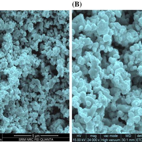Sem Images Agsio2 Coreshell Nanoparticles Ags4 A And Ags5 B