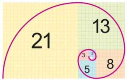 Unraveling The Mysteries Of Fibonacci Sequence Nature S Favorite Pattern