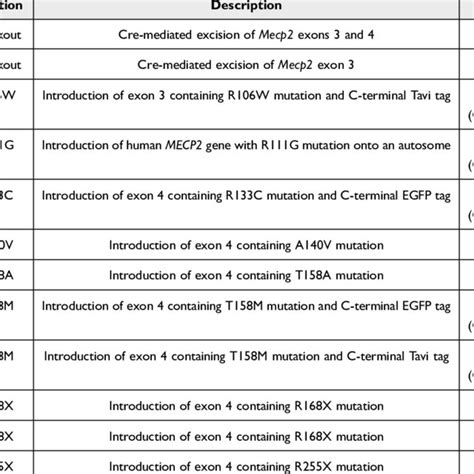 Mouse Models Of Mecp2 Mutation And Duplication Download Scientific