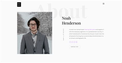 Top Web Developer Portfolio Templates A Pros Pick