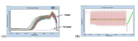 Amplification Curves A Amplification Curves With Characteristic Download Scientific Diagram