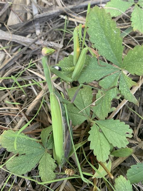 Untitled Antony Maddocks Flickr