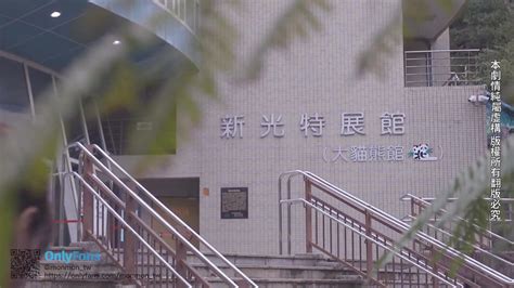 Sex Vlog In Taipei Full Version At Onlyfans Xasiat