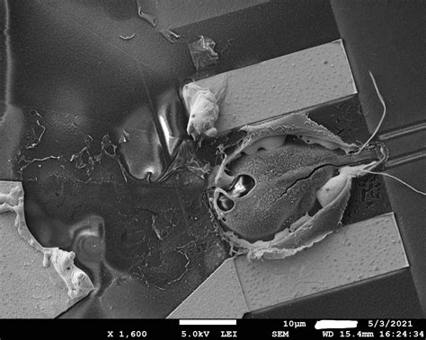 Sem Image Of A Blown Up Integrated Photodiode R Microporn