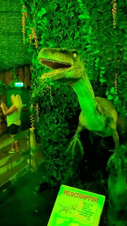 Knockhatch Adventure Park Uk 🇬🇧 Shorts Ytshorts Viralshorts