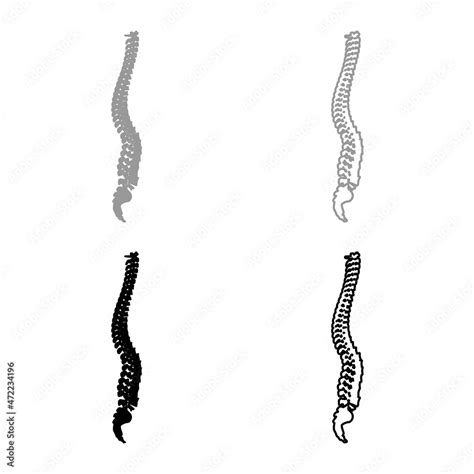 Spinal Vertebral Column Spine Backbone Set Icon Grey Black Color Vector