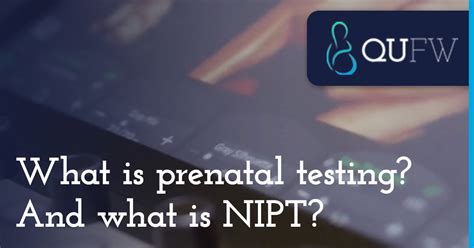 What Is Prenatal Testing And What Is NIPT QUFW