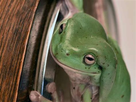 Decimal Place Value Teaching Resources