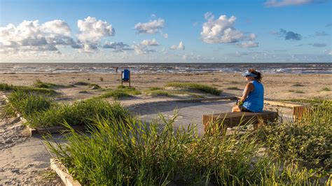 Galveston Island State Park Swa Group