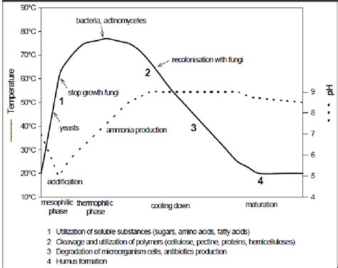 Schematic Depiction Of The Composting Process Download Scientific Diagram
